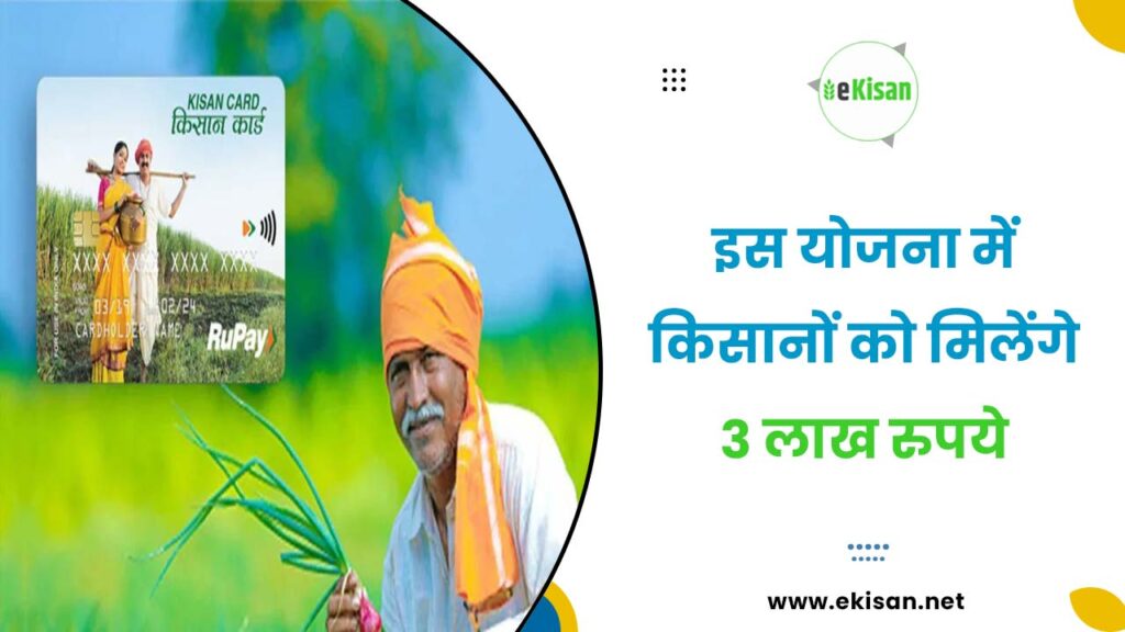 इस योजना में किसानों को मिलेंगे 3 लाख रुपये - ekisan