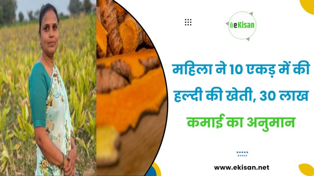 महिला ने 10 एकड़ में की हल्दी की खेती, 30 लाख कमाई का अनुमान - ekisan