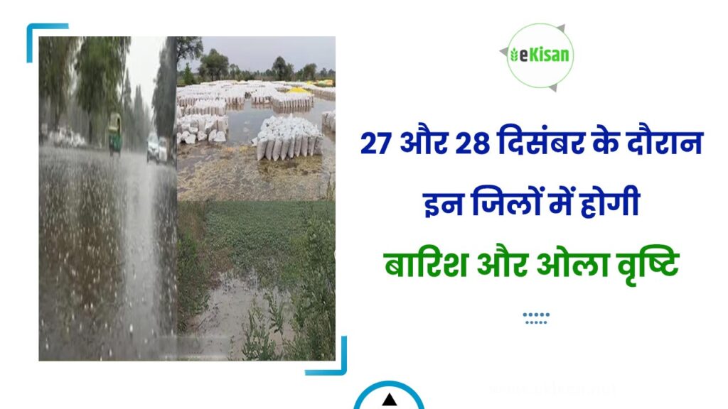 27 और 28 दिसंबर के दौरान इन जिलों में होगी बारिश और ओला वृष्टि - ekisan