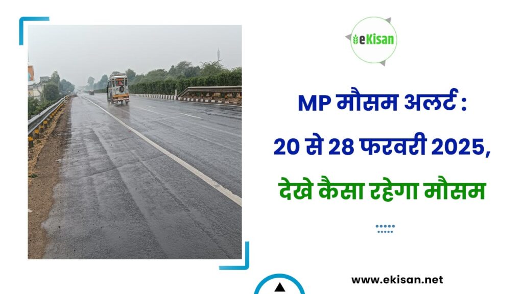 MP मौसम अलर्ट : 20 से 28 फरवरी 2025, देखे कैसा रहेगा मौसम - ekisan