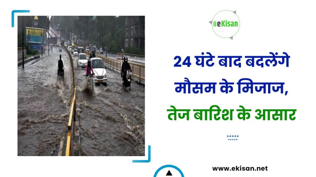 24 घंटे बाद बदलेंगे मौसम के मिजाज, तेज बारिश के आसार - ekisan