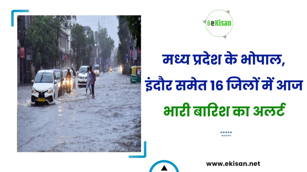 मध्य प्रदेश के भोपाल, इंदौर समेत 16 जिलों में आज भारी बारिश का अलर्ट - ekisan
