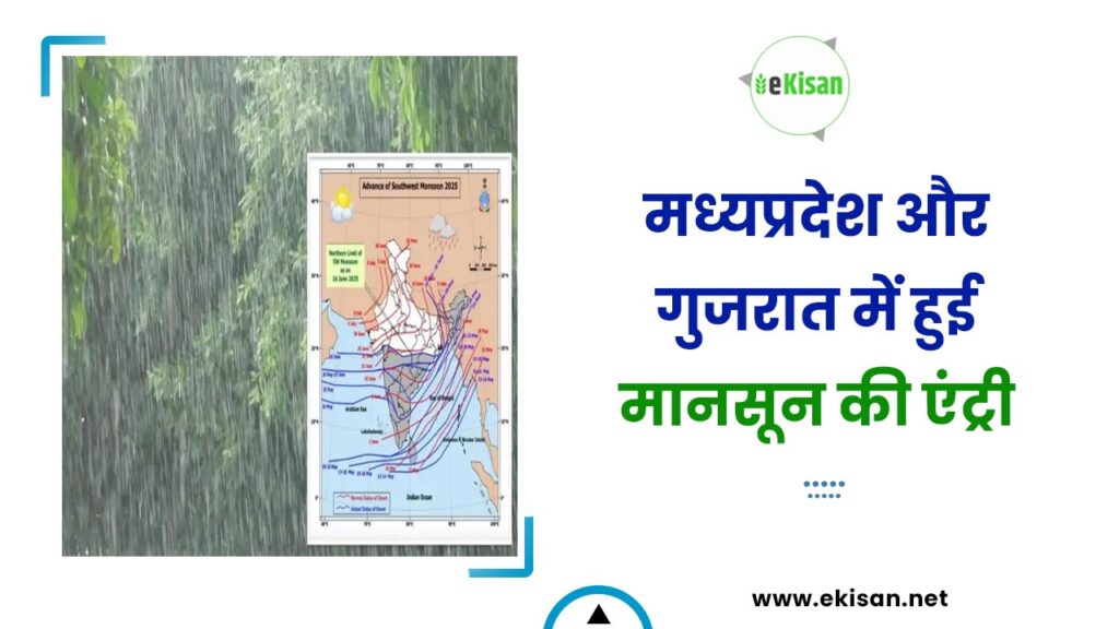 मध्यप्रदेश और गुजरात में हुई मानसून की एंट्री - ekisan