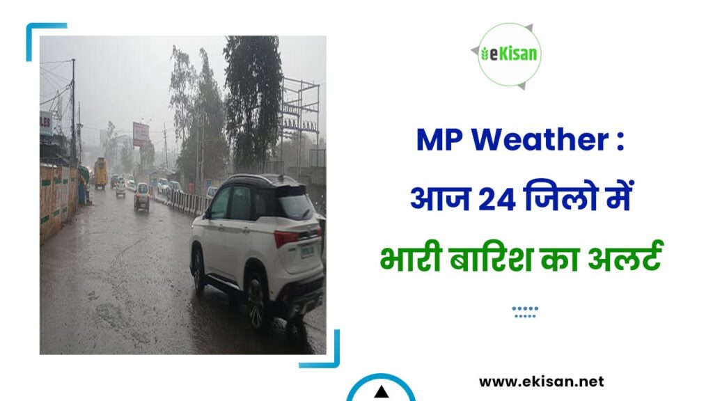 MP Weather : आज 24 जिलो में भारी बारिश का अलर्ट - ekisan