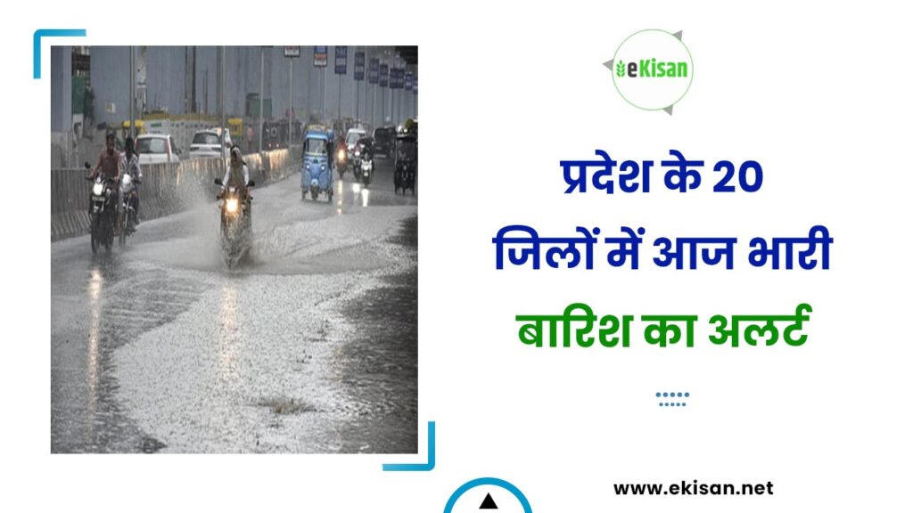 प्रदेश के 20 जिलों में आज भारी बारिश का अलर्ट - ekisan