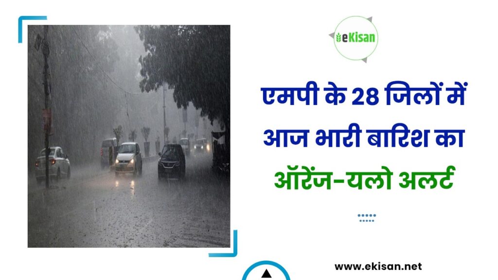 एमपी के 28 जिलों में आज भारी बारिश का ऑरेंज-यलो अलर्ट - ekisan