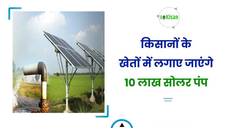 किसानों के खेतों में लगाए जाएंगे 10 लाख सोलर पंप - ekisan